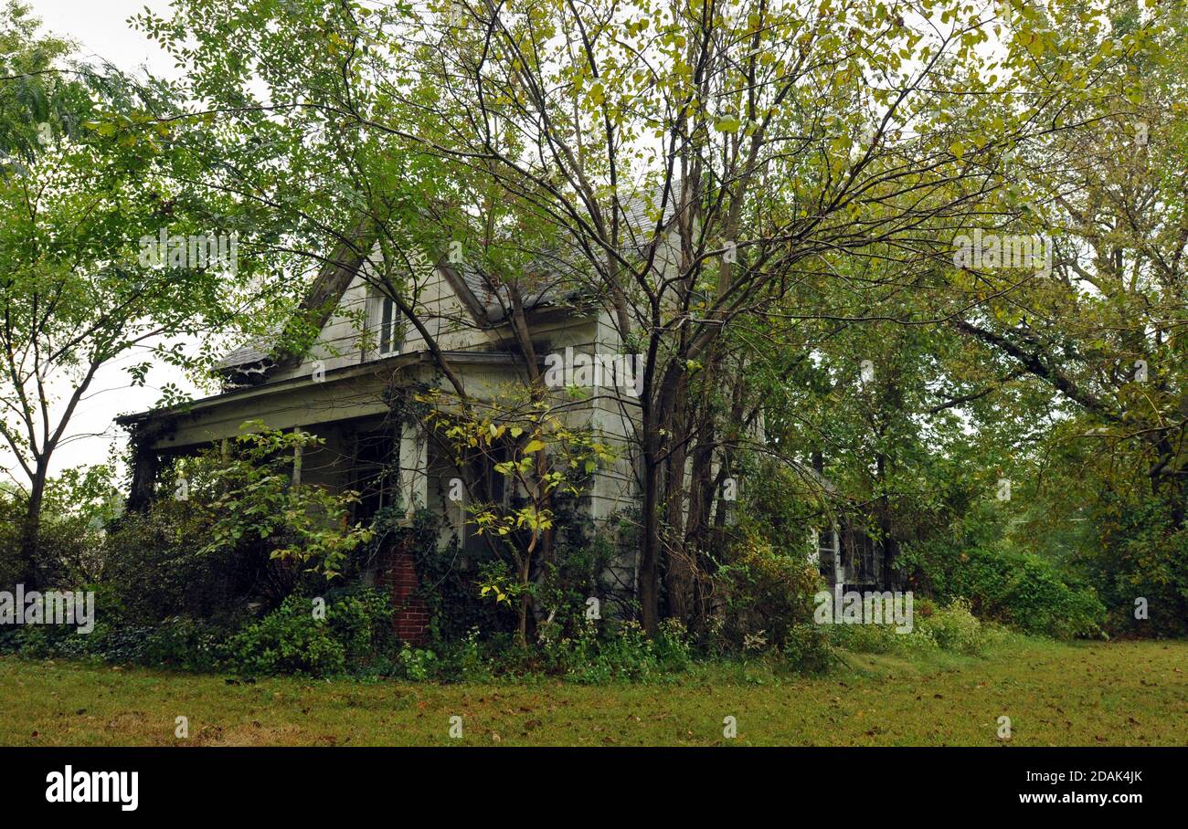Home surrounded by trees hi-res stock photography and images - Alamy