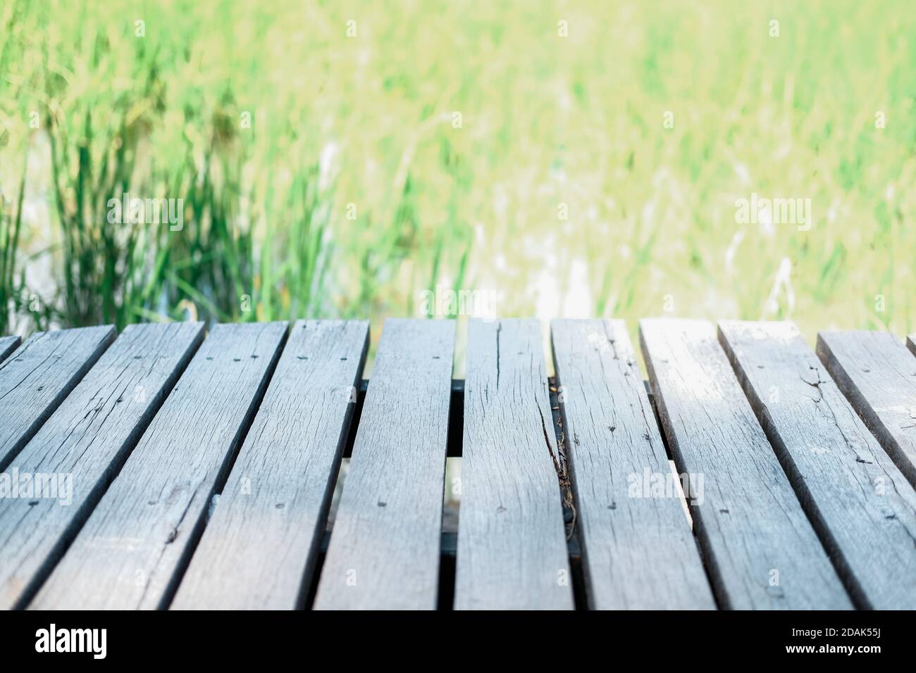 wooden table with rice paddy field background for montage display ...