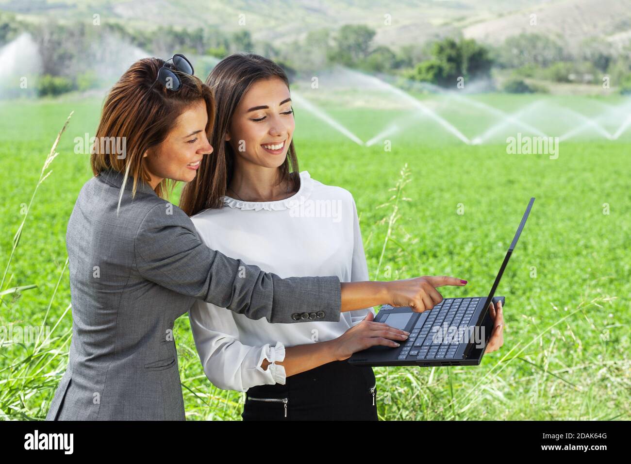Sprinkler irrigation wheat field in hi-res stock photography and images ...
