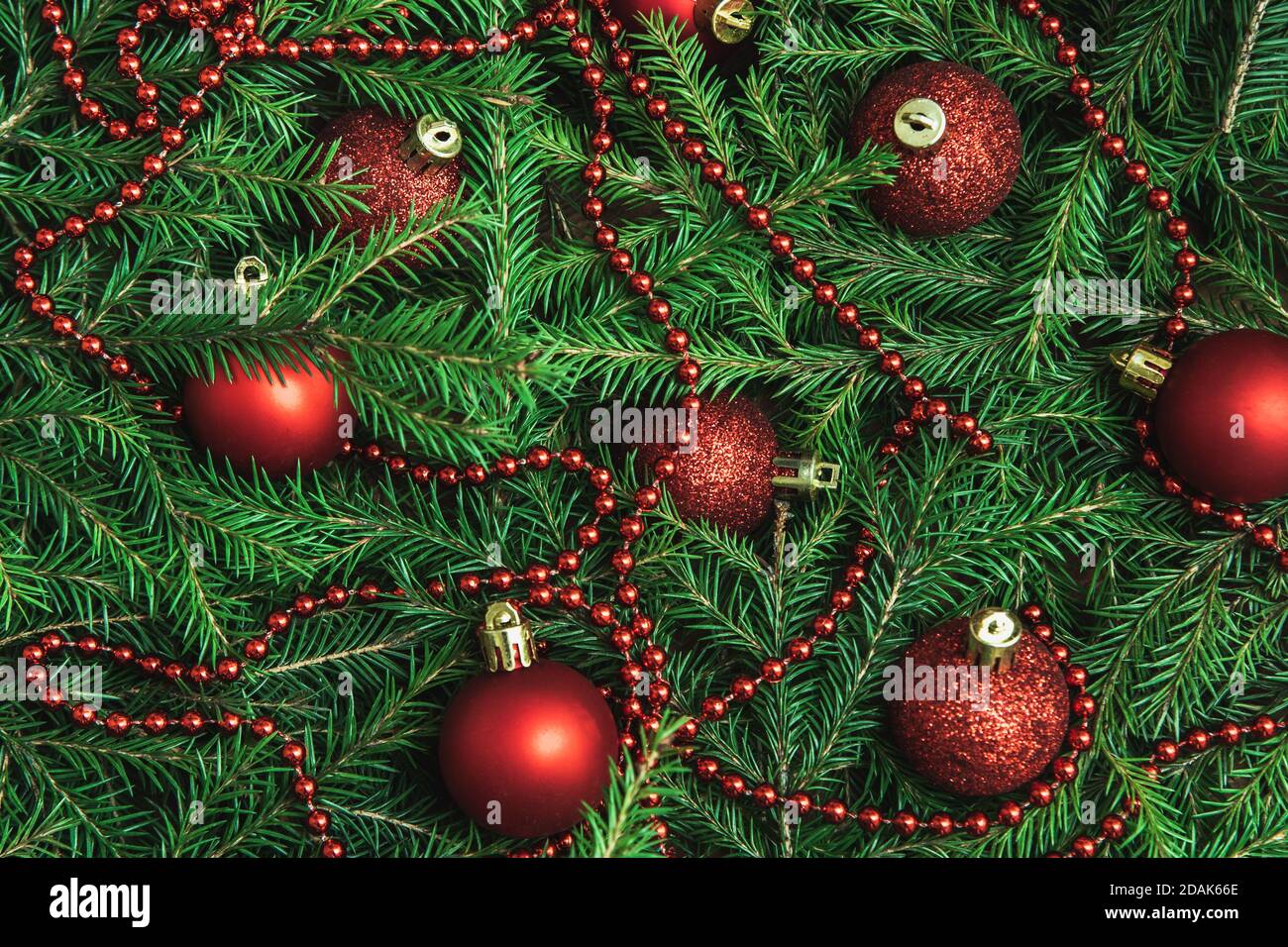Christmas Tree Texture
