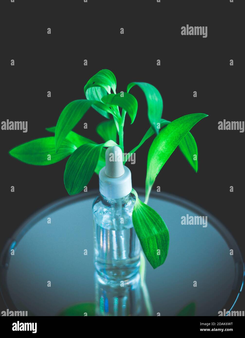 Natural science - transparent pipette bottle and a green leaf as a ...