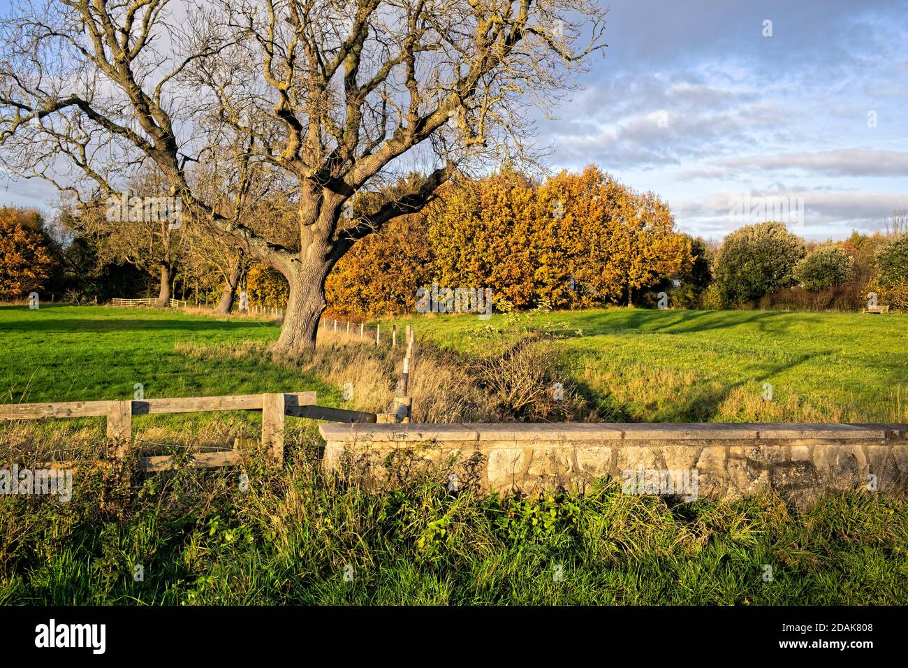 Appleton roebuck hi-res stock photography and images - Alamy