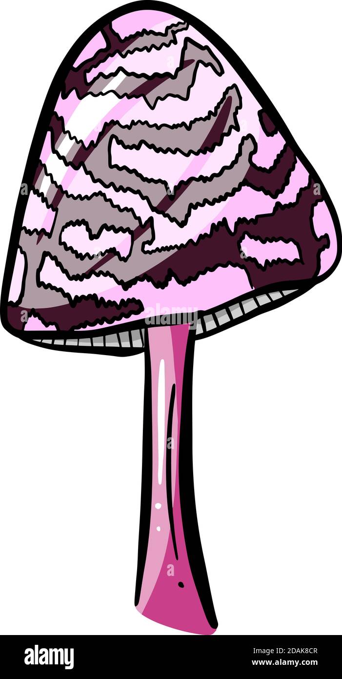 Fun Cartoon Mushroom Toadstool Character Vector Illustration Stock ...