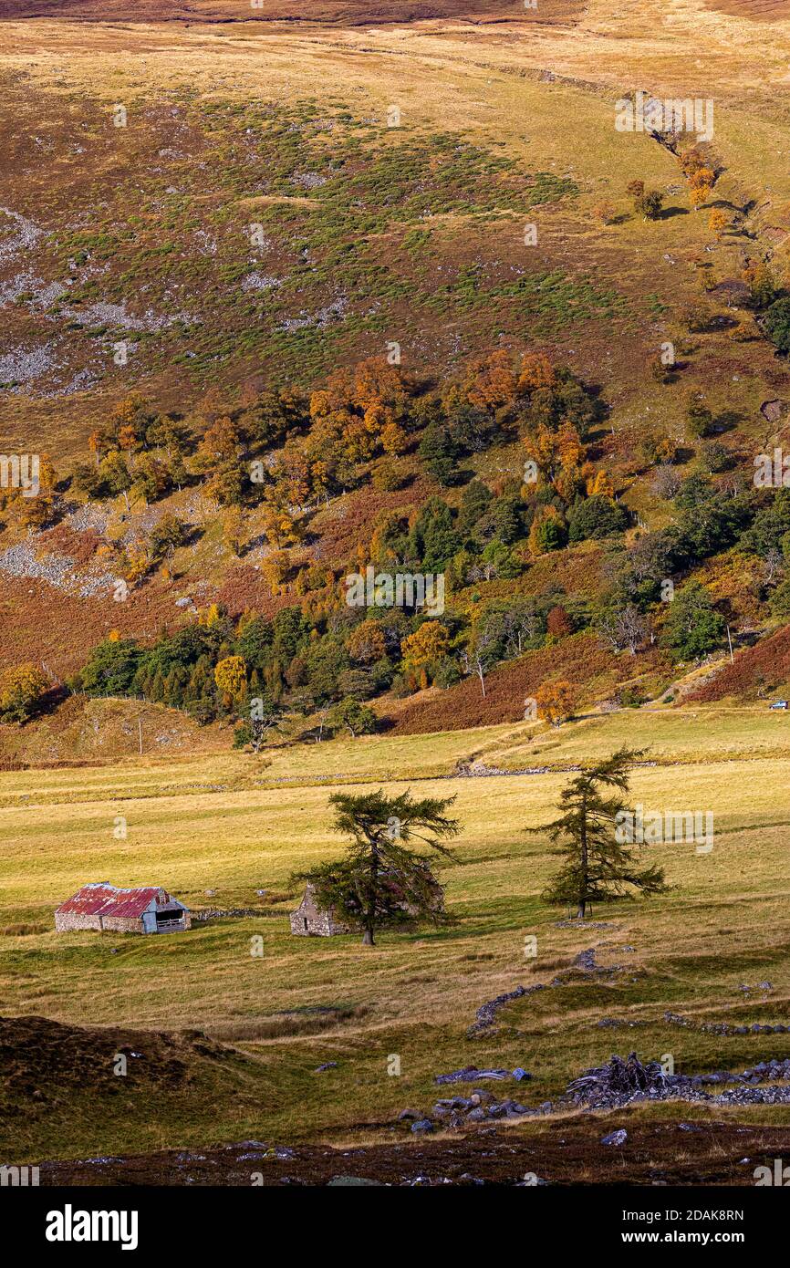 Findhorn village hi-res stock photography and images - Alamy