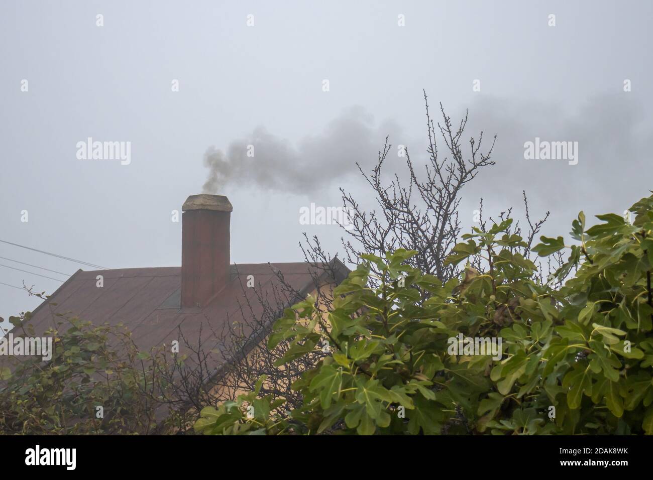 A smoking chimney on an autumn morning Stock Photo - Alamy