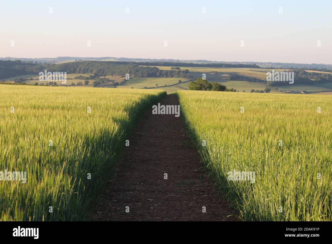 Cotswold summer evening hi-res stock photography and images - Alamy