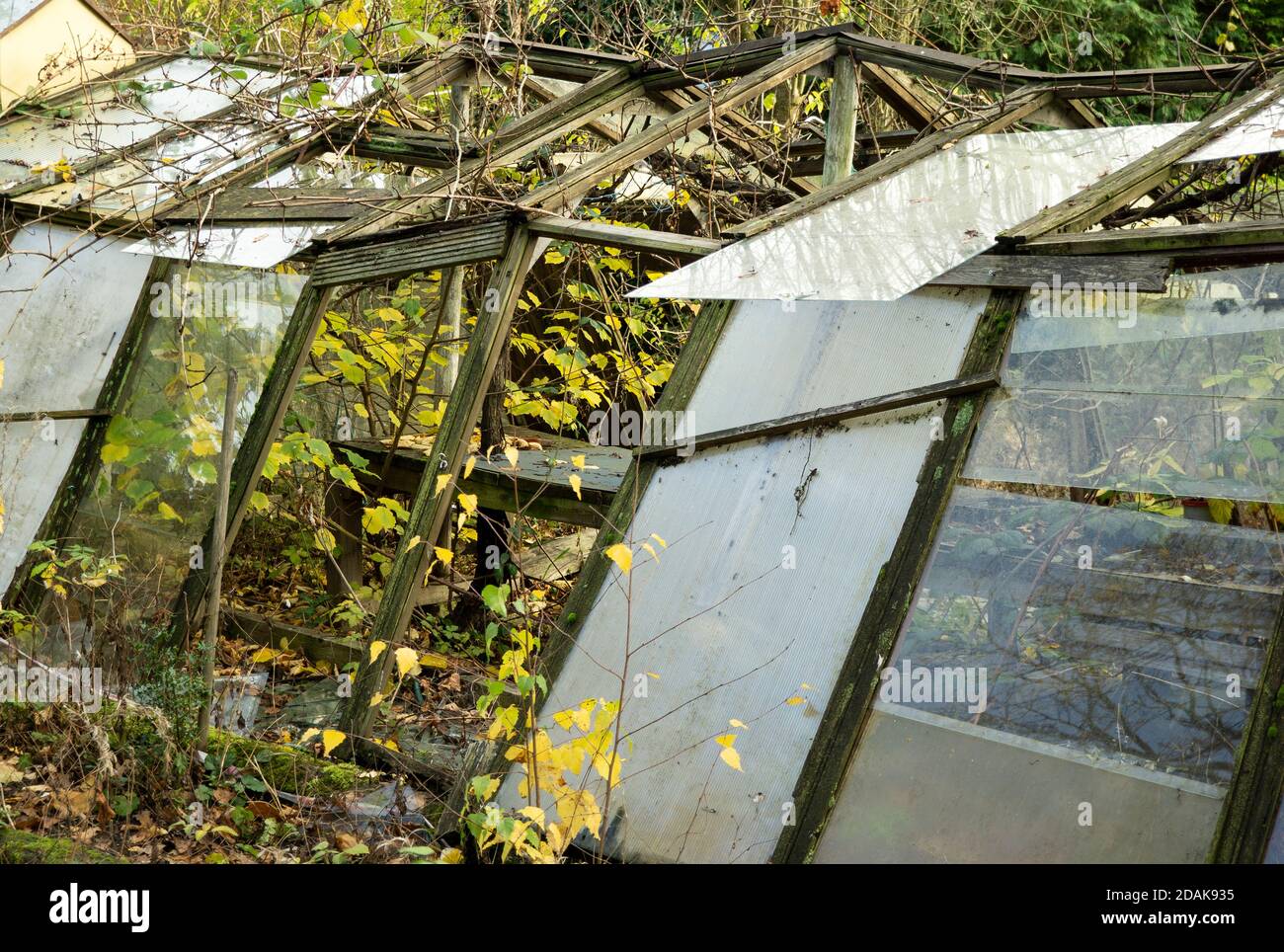Smashed glasses hi-res stock photography and images - Alamy