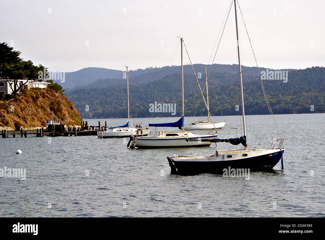 sailboats anchor in marshall california on tamales bay sonoma county ...