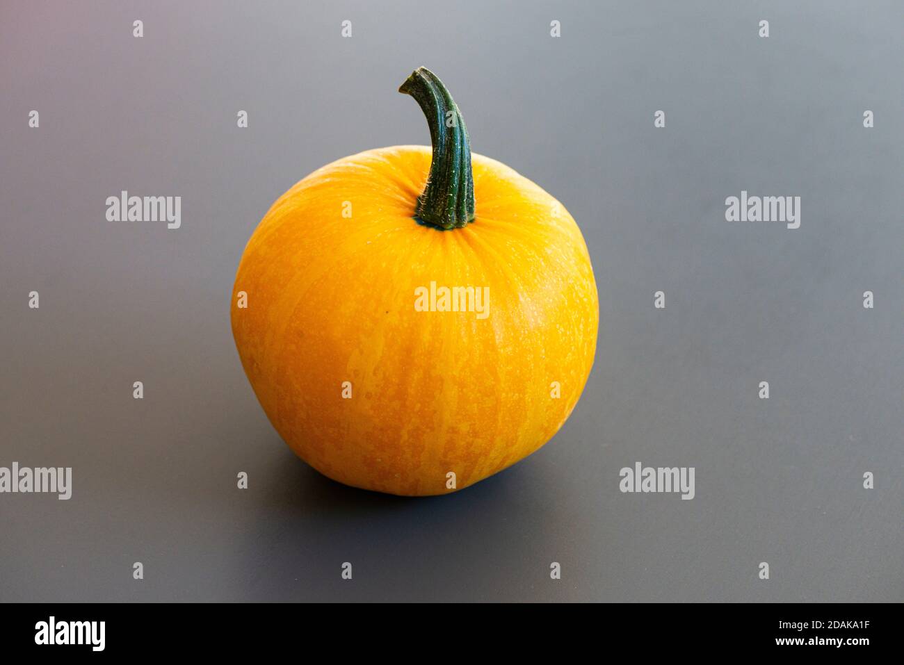 An orange winter squash Stock Photo - Alamy