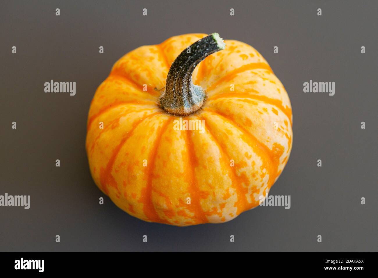 Mottled orange hi-res stock photography and images - Alamy