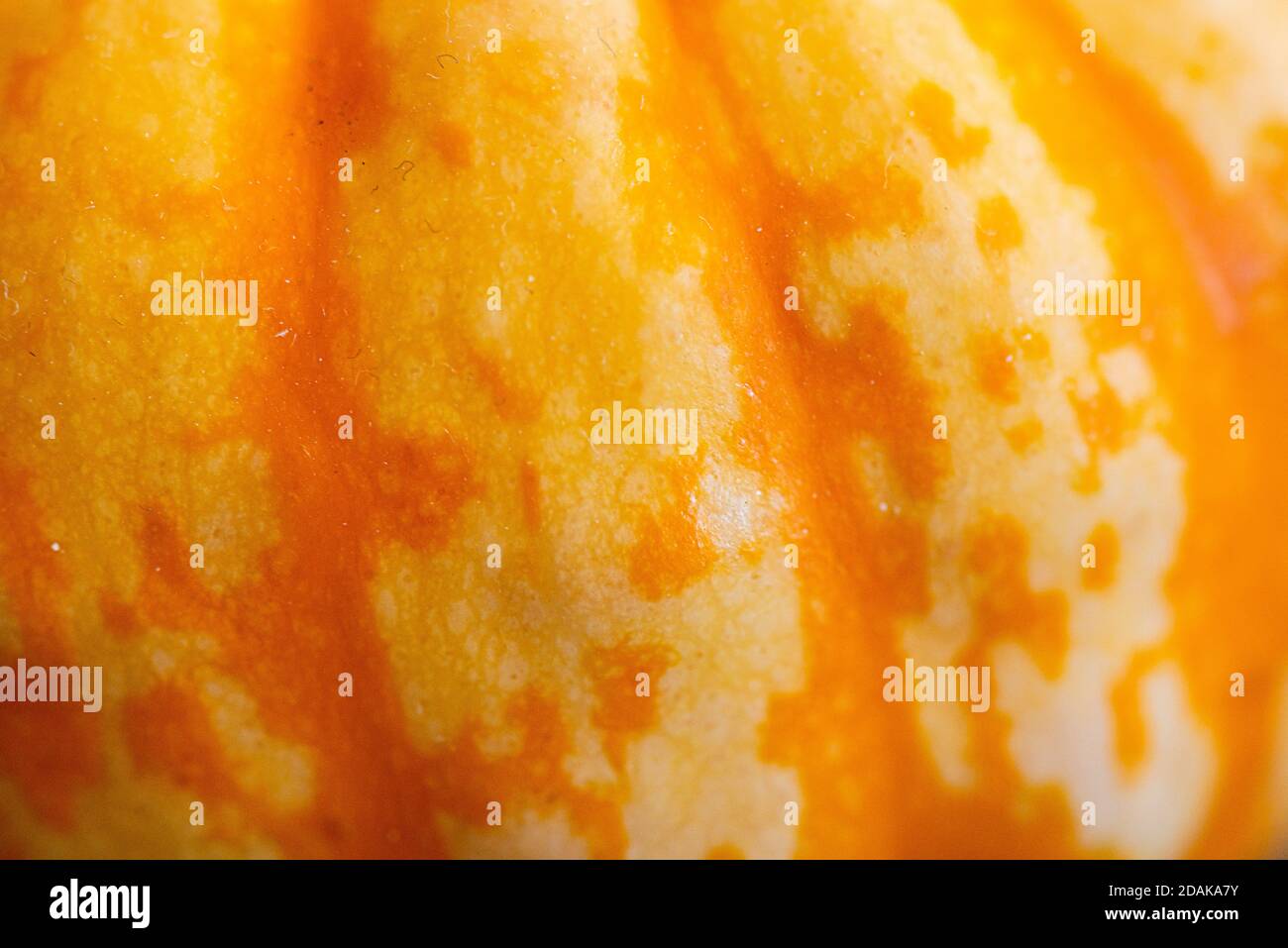 A close up of the skin of a winter squash Stock Photo - Alamy