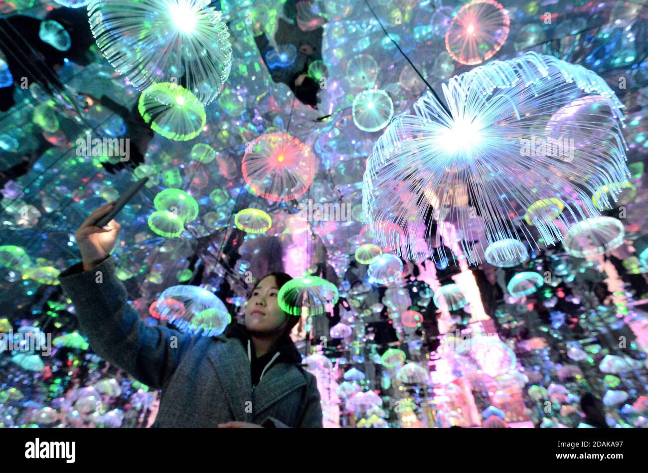 Handan, China. 13th Nov, 2020. The '3D Starry night Experience Pavilion ...