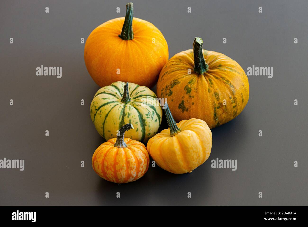 A selection of winter squashes Stock Photo - Alamy