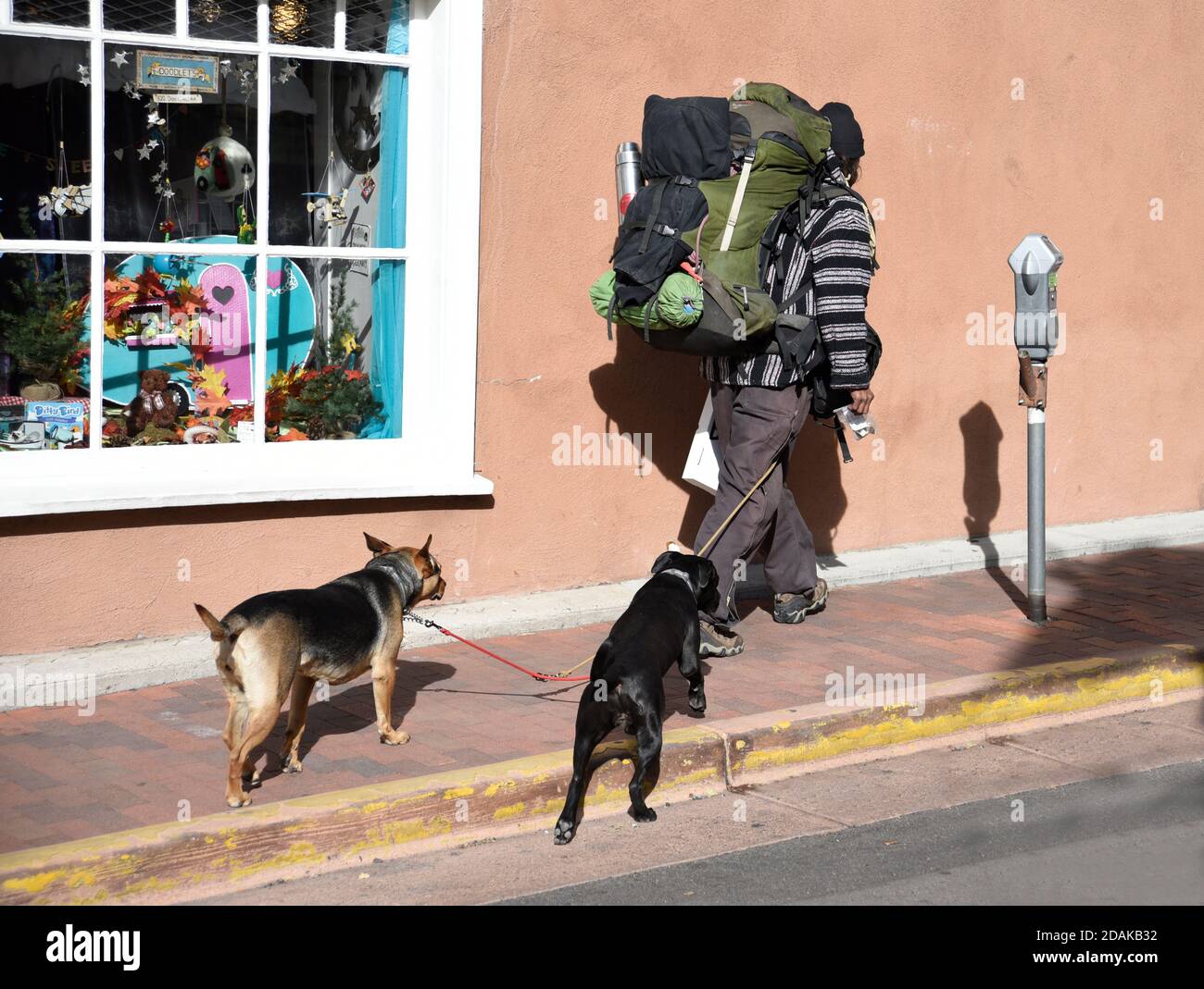 A homeless man and his two dogs walk along a sidewalk in Santa Fe, New ...