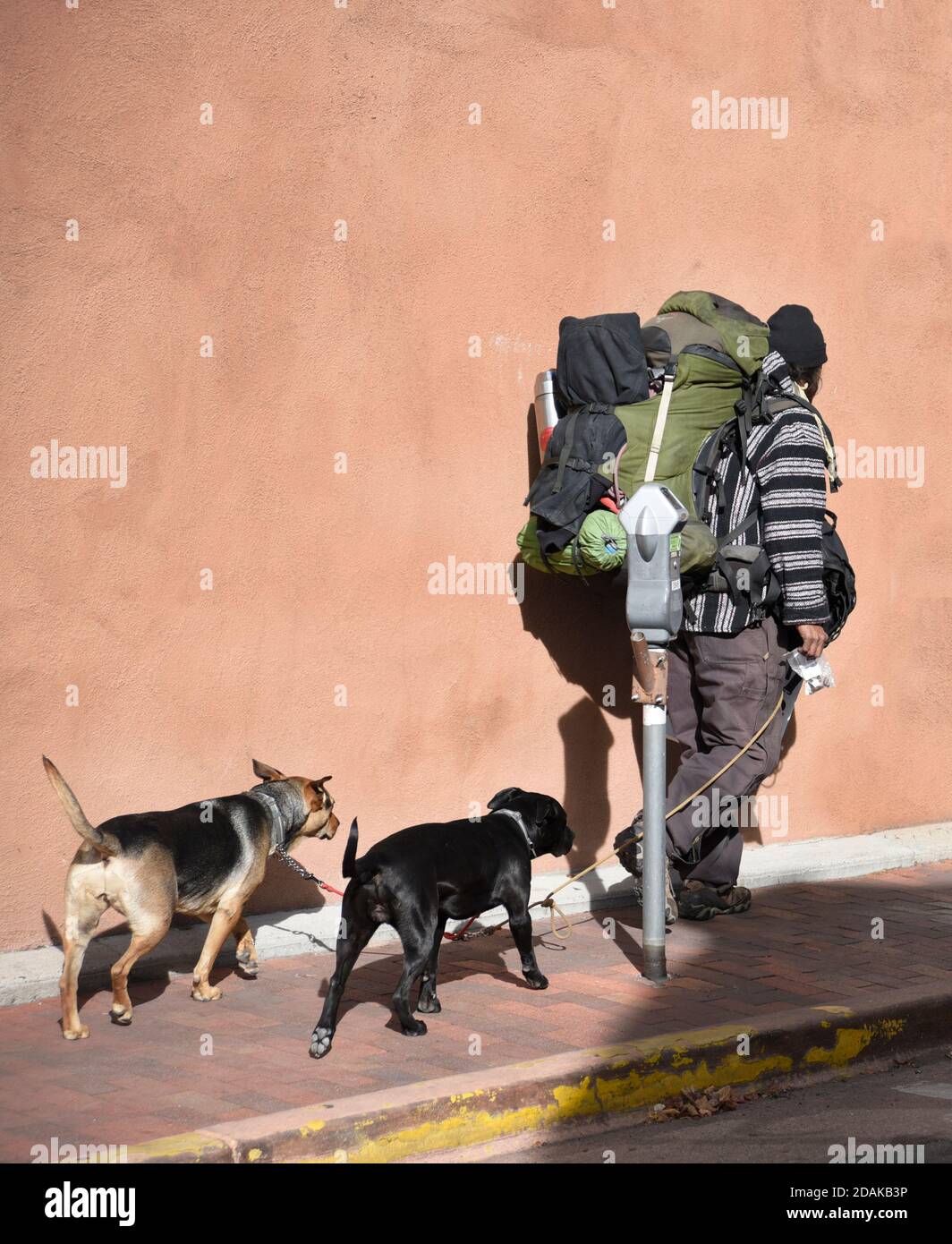 A homeless man and his two dogs walk along a sidewalk in Santa Fe, New ...