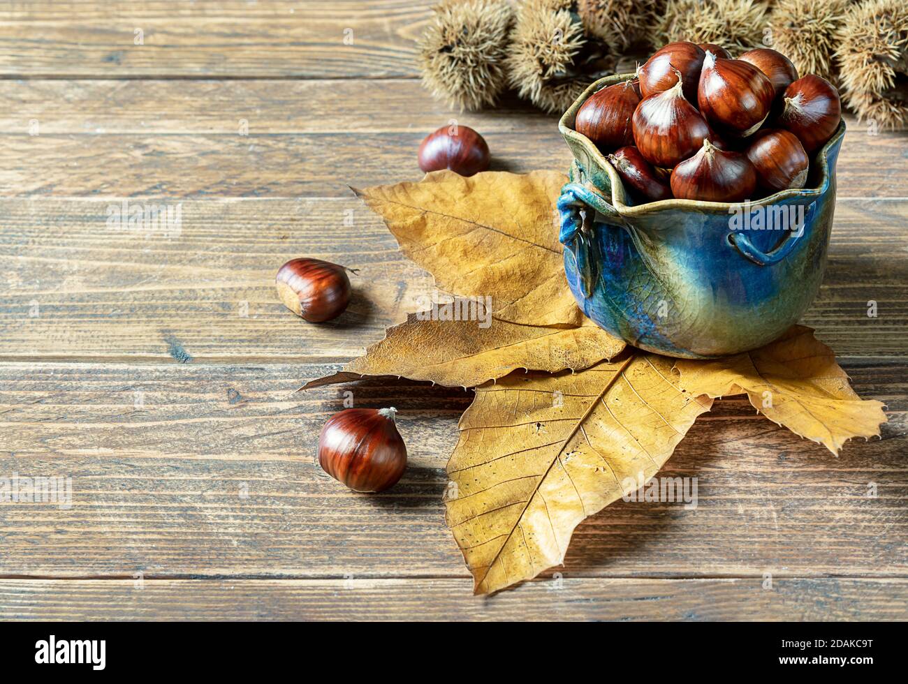 Autumn composition - chestnuts in a blue cup and chestnut leaves on an ...
