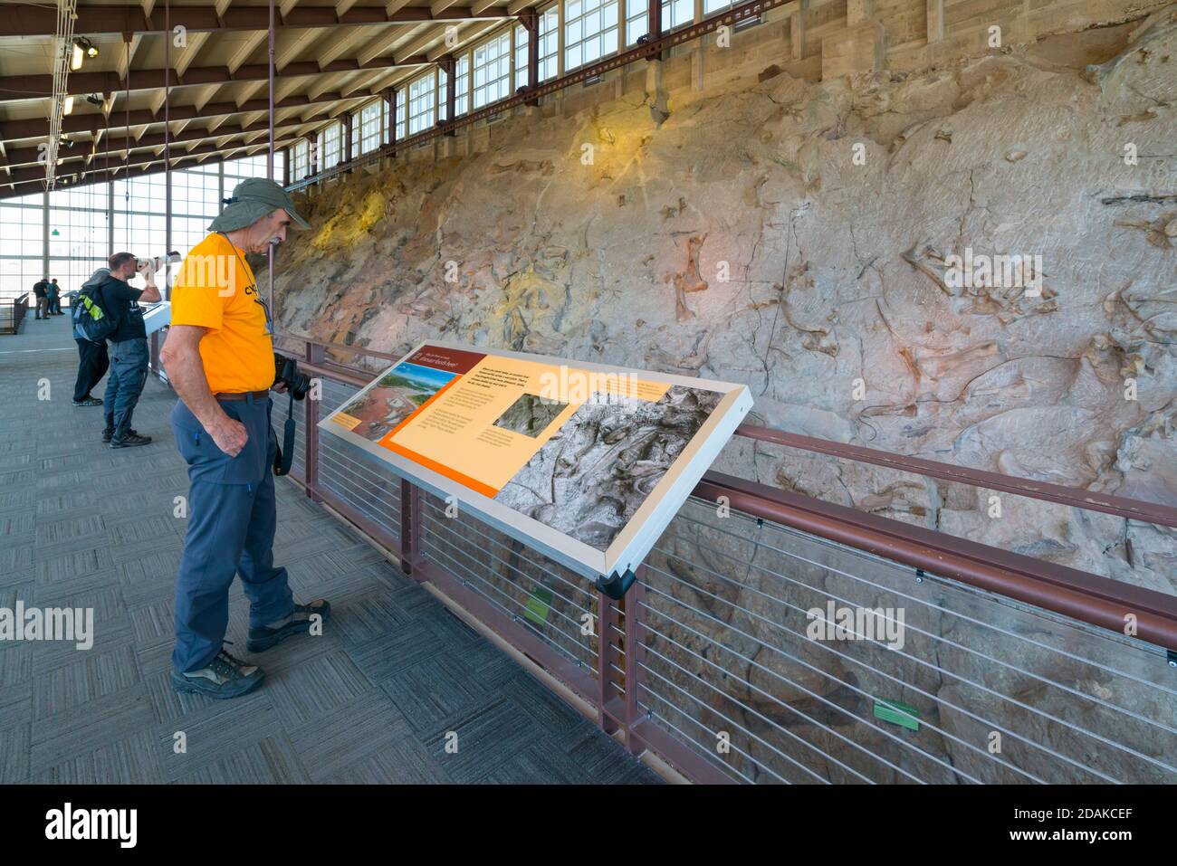 Quarry Exhibit Hall, Dinosaur National Monument, Utah, Usa, America ...