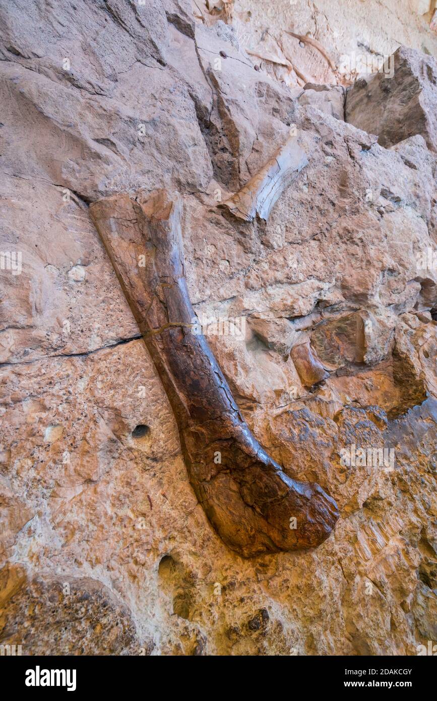 Quarry exhibit hall hi-res stock photography and images - Alamy