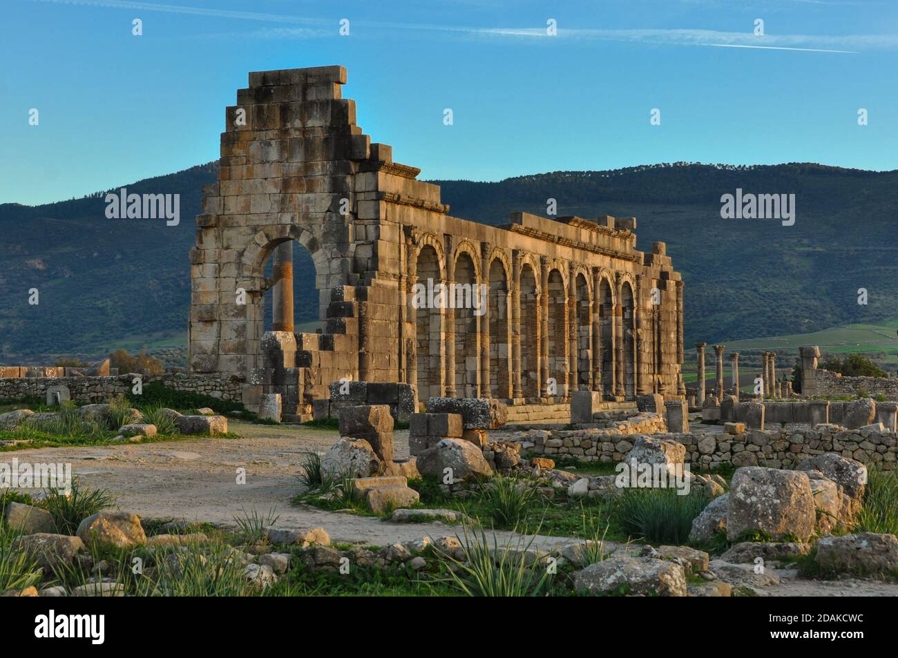 Ancient roman city of volubilis hi-res stock photography and images - Alamy