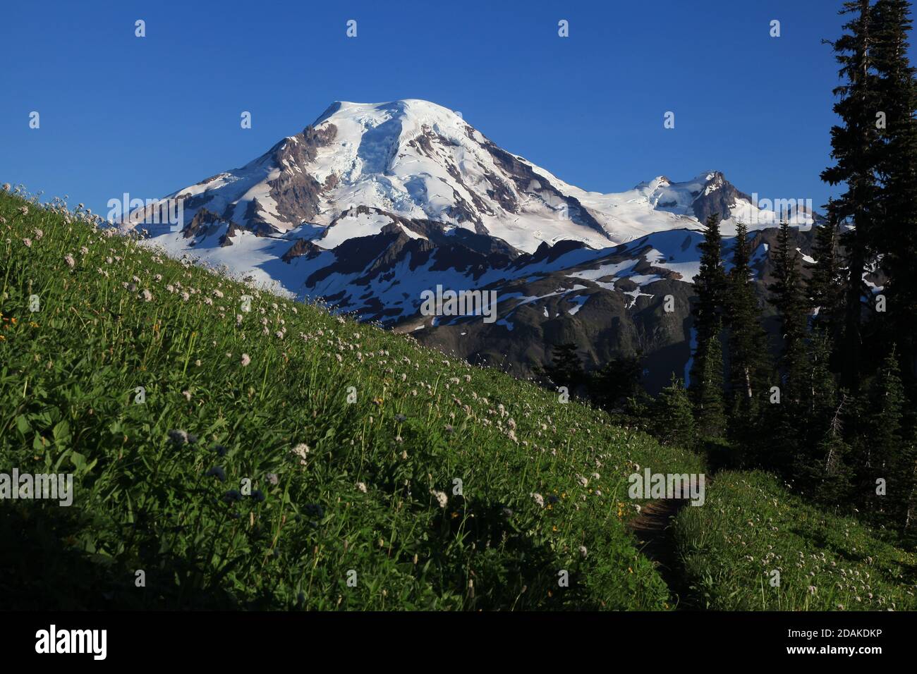 Mt baker skyline divide hi-res stock photography and images - Alamy