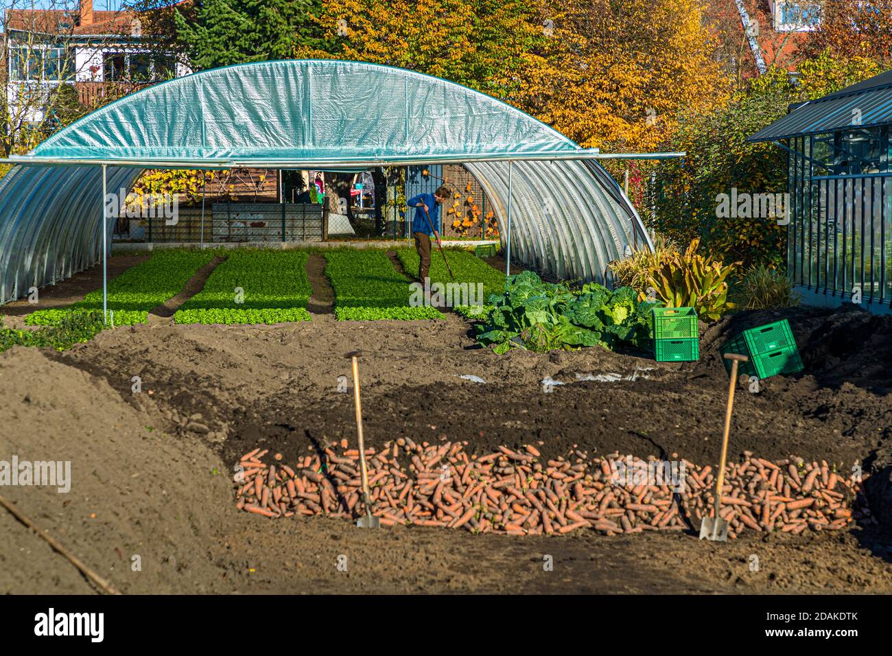 Cold storage plant hi-res stock photography and images - Alamy