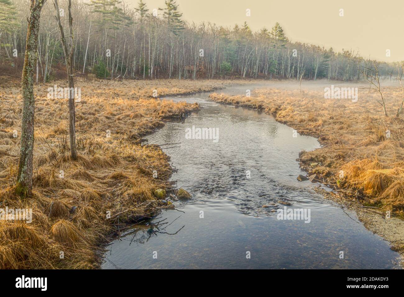 East branch of the swift river hi-res stock photography and images - Alamy