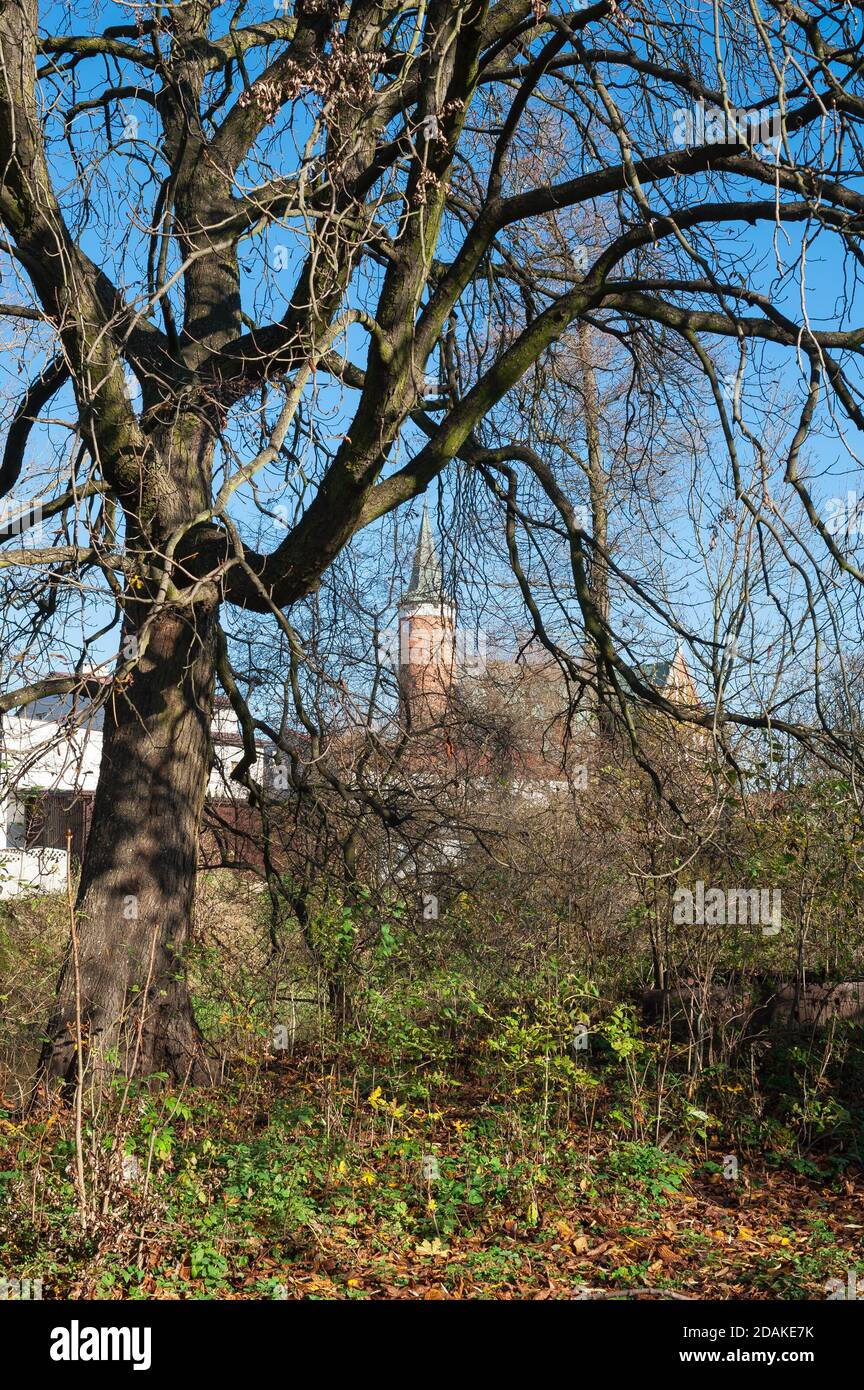 Opoczno hi-res stock photography and images - Alamy