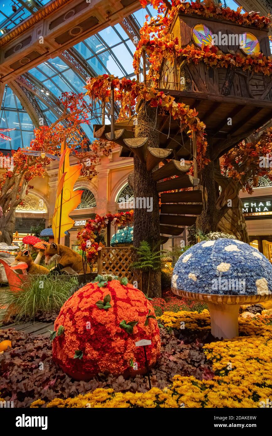 Las Vegas, OCT 30, 2020 - Autumn theme of the famous Bellagio ...