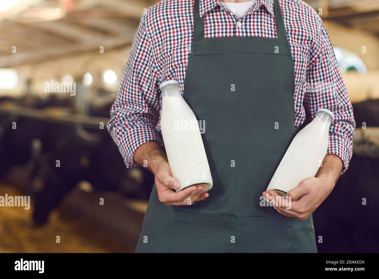 Farmer showing bottles of fresh natural cow milk and yoghurt ...