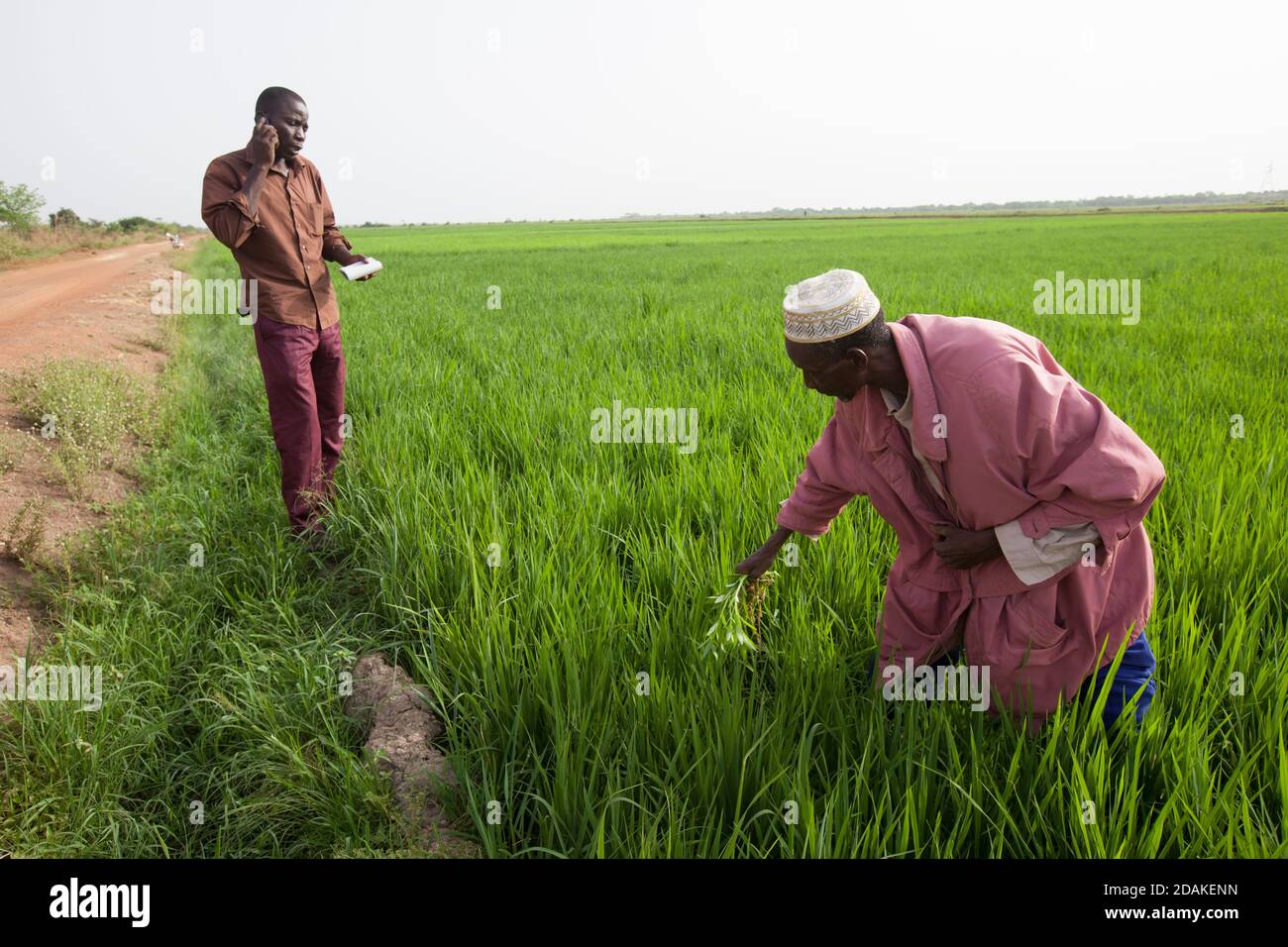 Selingue hi-res stock photography and images - Alamy