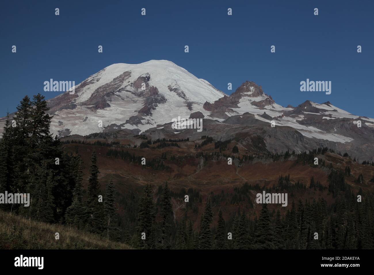 Mt Rainier at Cowlitz Divide Stock Photo - Alamy