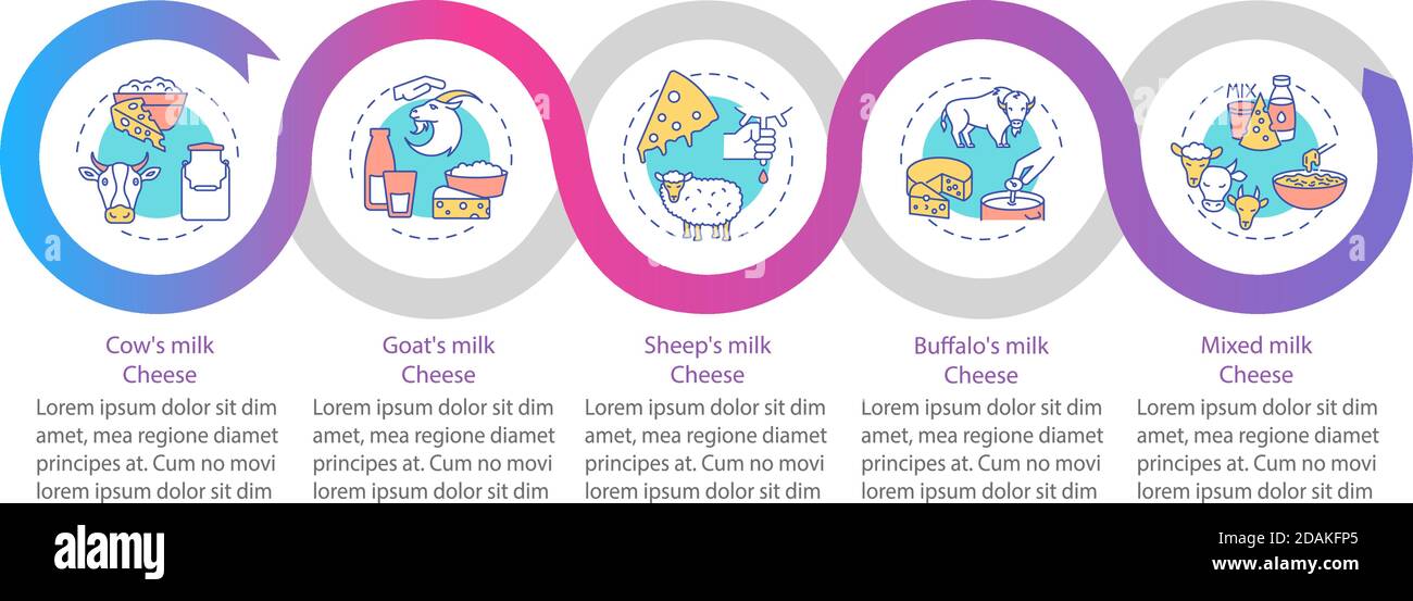 Cheese production vector infographic template Stock Vector Image & Art ...