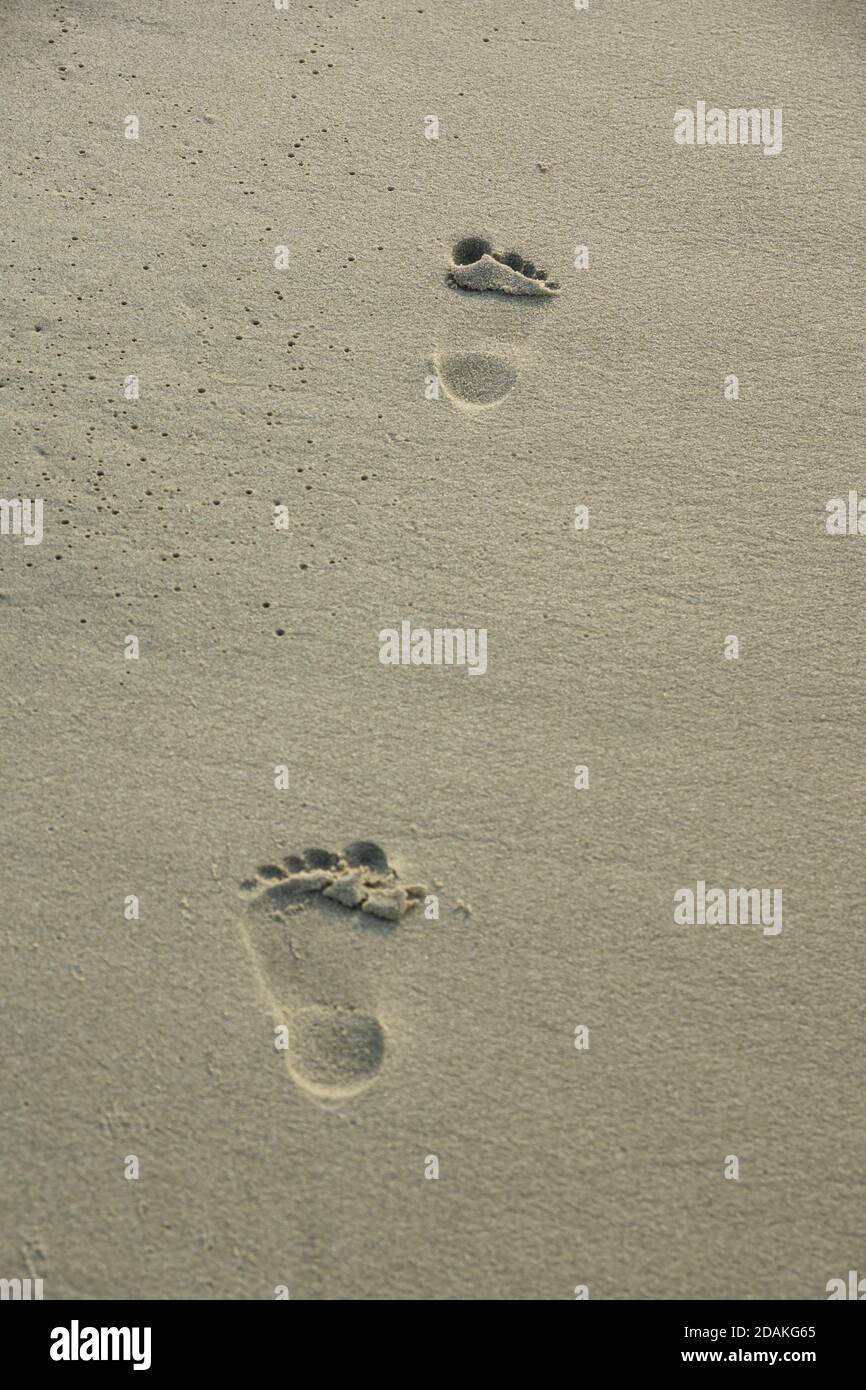 close up of foot imprints on a sandy beach Stock Photo - Alamy