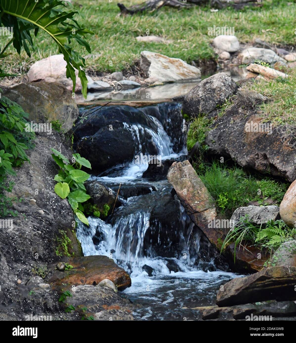 Water stream and a low waterfall with stones and grass Stock Photo - Alamy