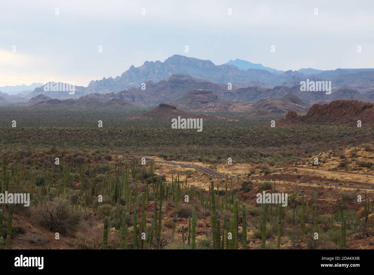 Lower california peninsula hi-res stock photography and images - Alamy