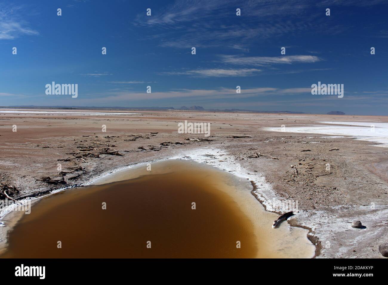 Salt lagoon at Guerrero Negro on Baja California Sur Stock Photo - Alamy