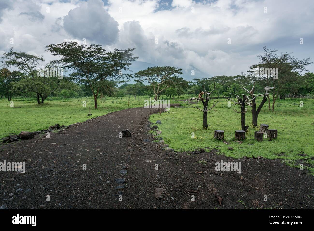 Mount baluran hi-res stock photography and images - Alamy