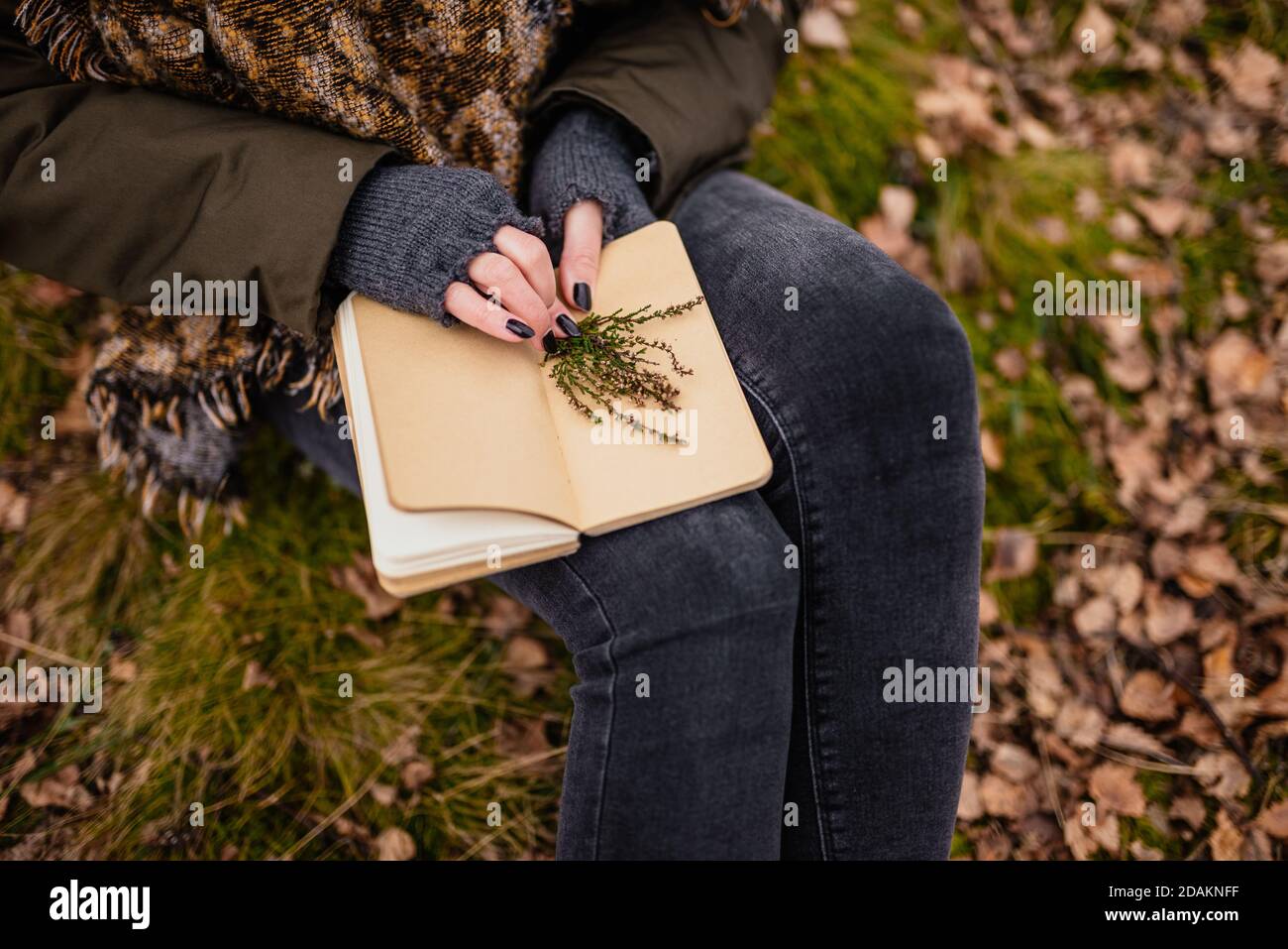 Women collecting plants hi-res stock photography and images - Alamy
