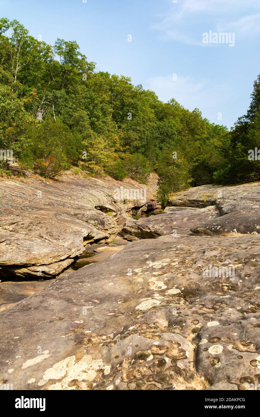 Landscape along the hiking trail at Bell Smith Springs in the Shawnee ...