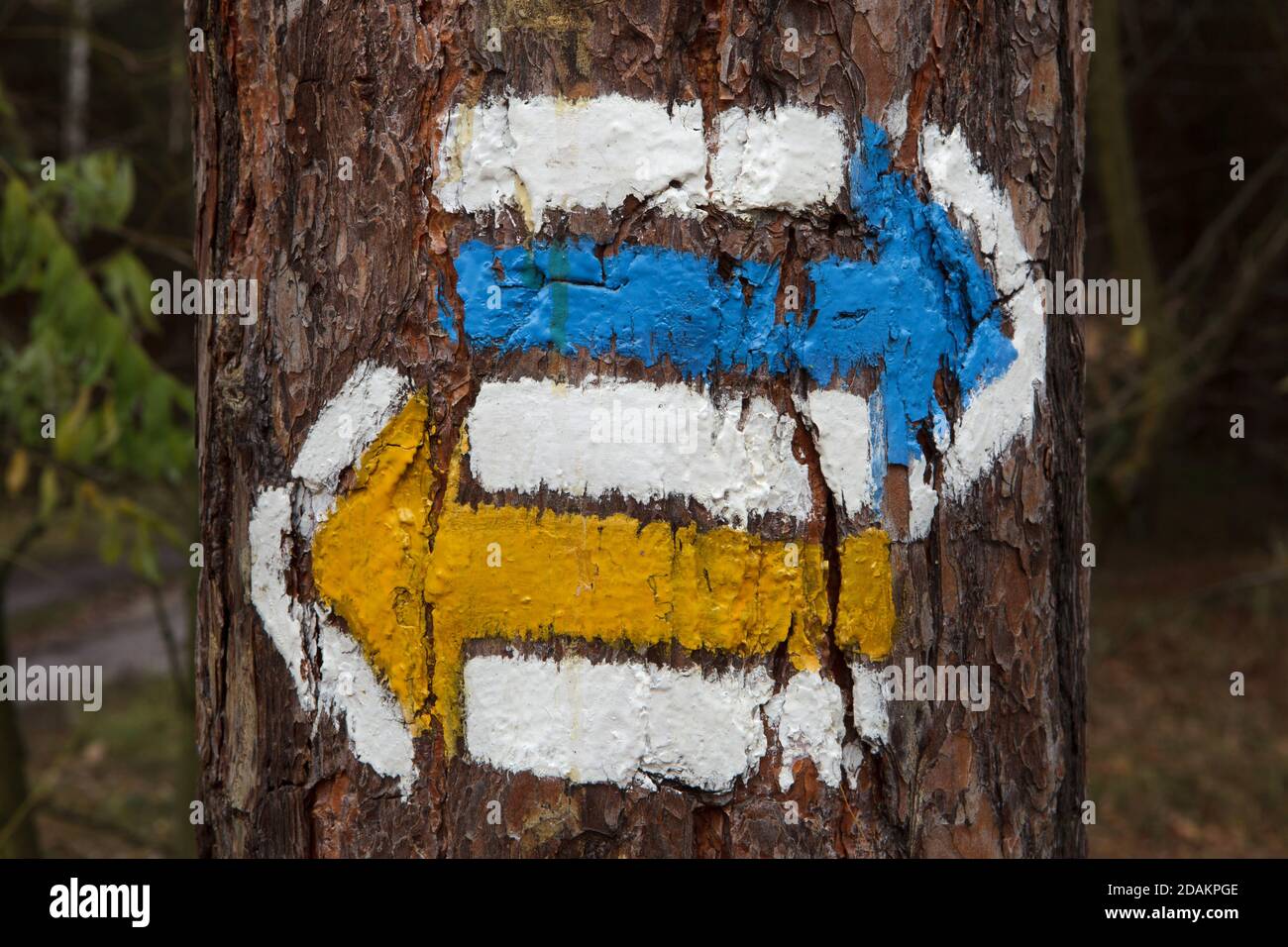Traditional yellow and blue arrows pointing directions to different ...