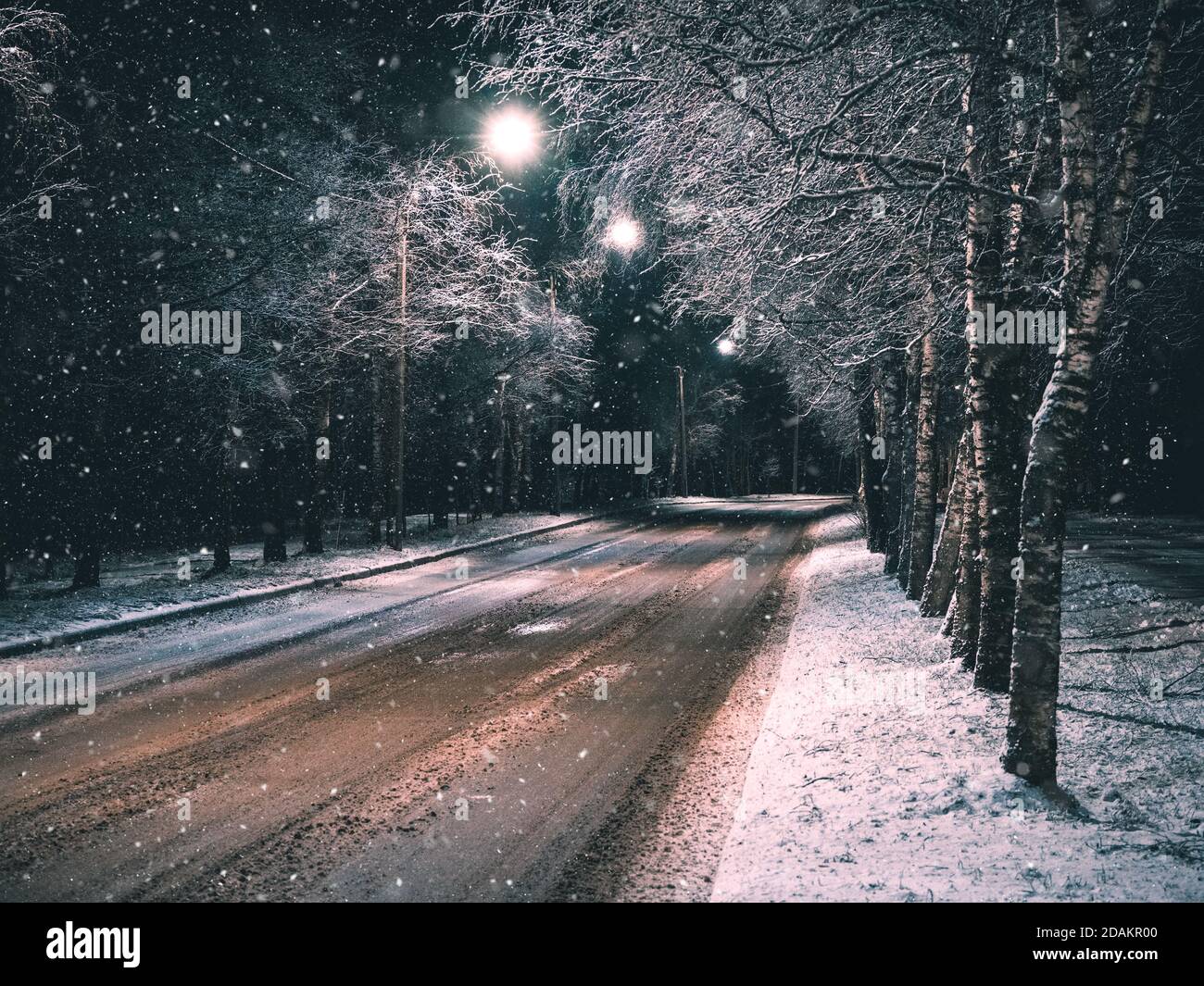Empty winter night road with lights Stock Photo - Alamy