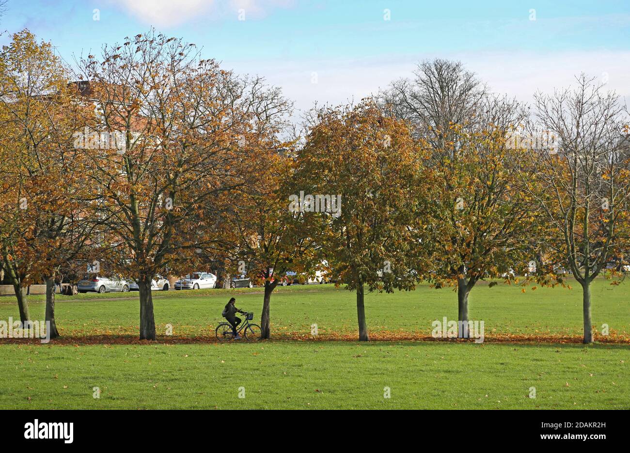 Green cyclist hi-res stock photography and images - Alamy