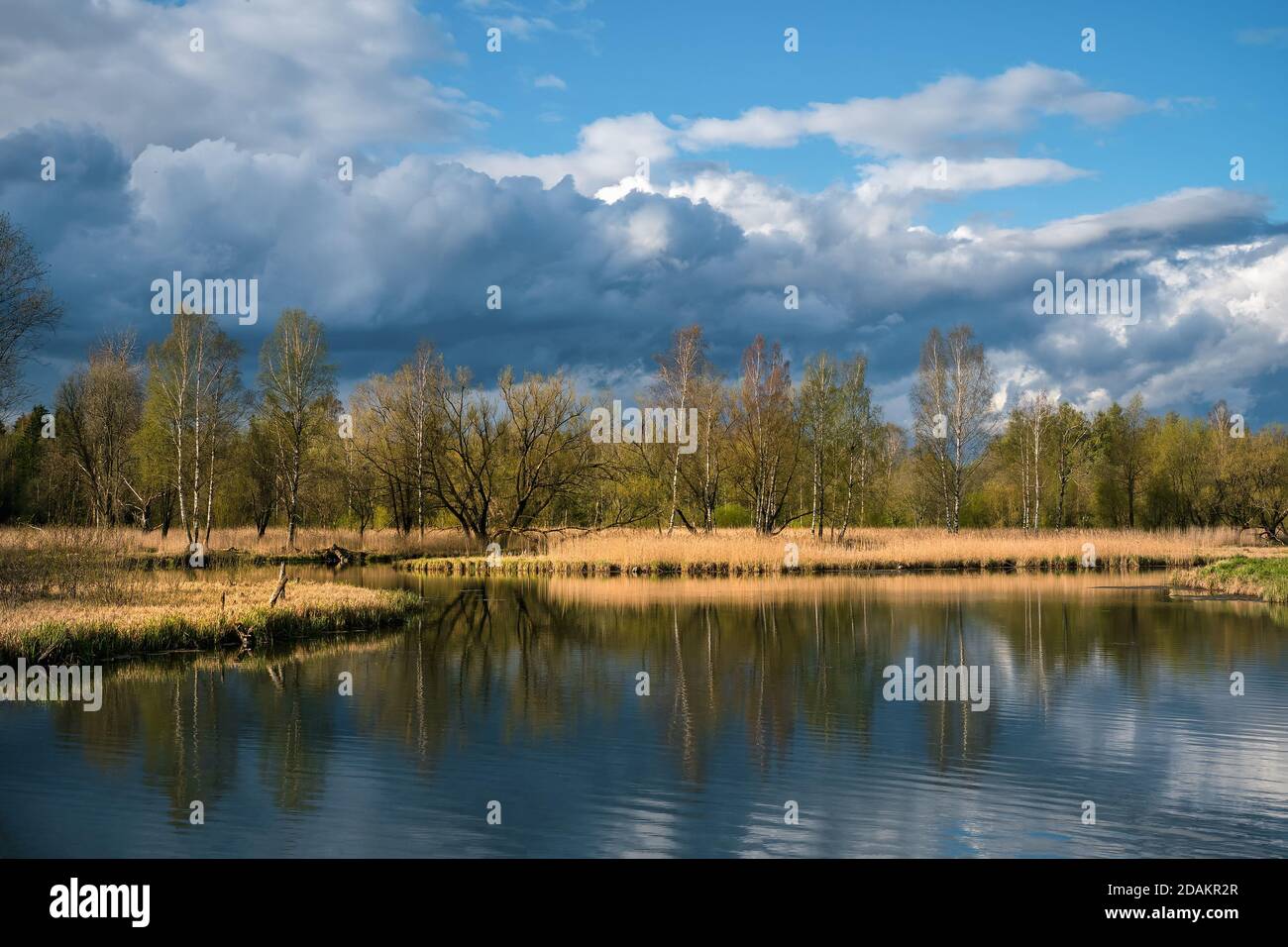 Russian spring landscape with reflections of trees in the lake Stock ...