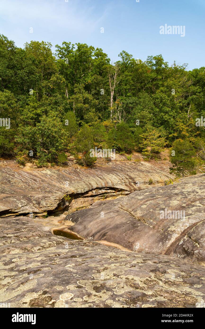 Landscape along the hiking trail at Bell Smith Springs in the Shawnee ...