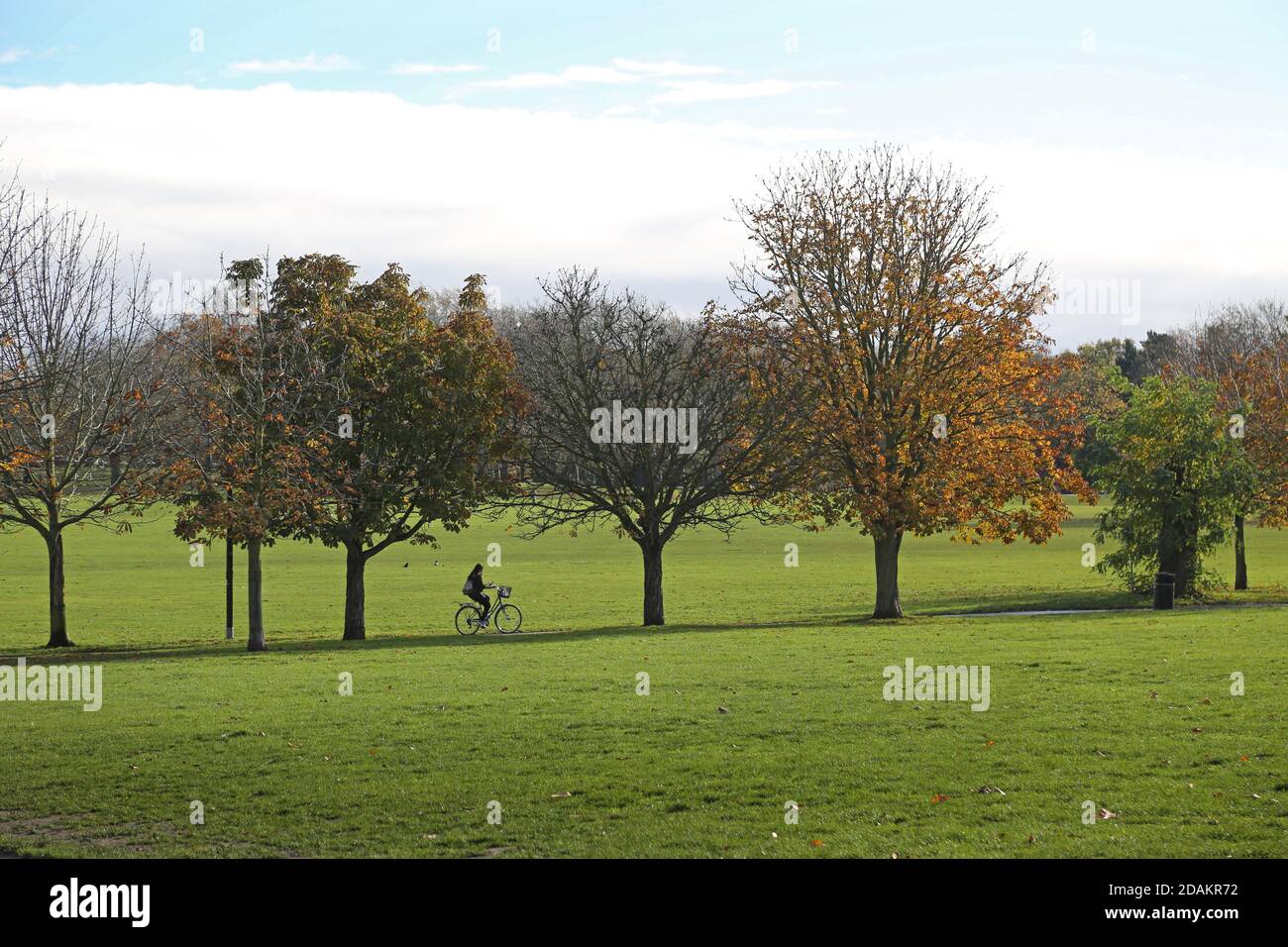 Green cyclist hi-res stock photography and images - Alamy