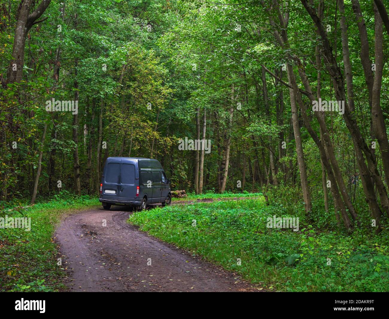 Green forest and road hi-res stock photography and images - Alamy