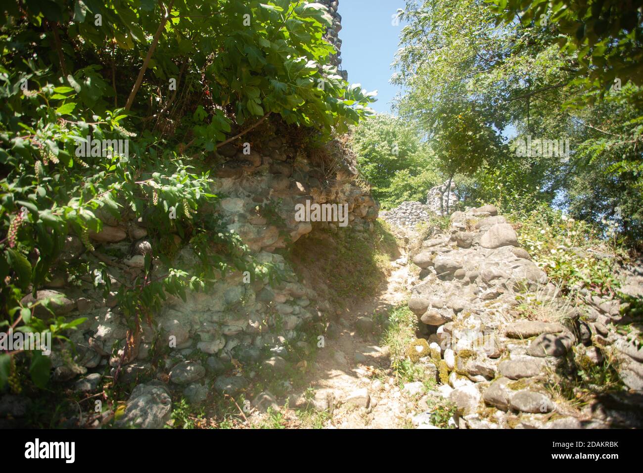 A path from an old cobblestone Stock Photo - Alamy