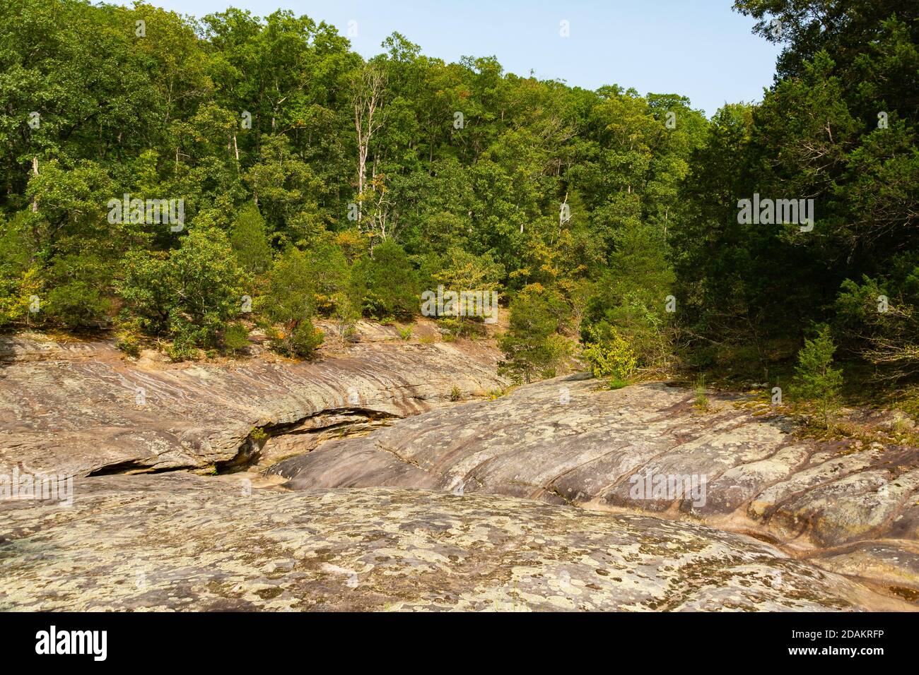 Landscape along the hiking trail at Bell Smith Springs in the Shawnee ...