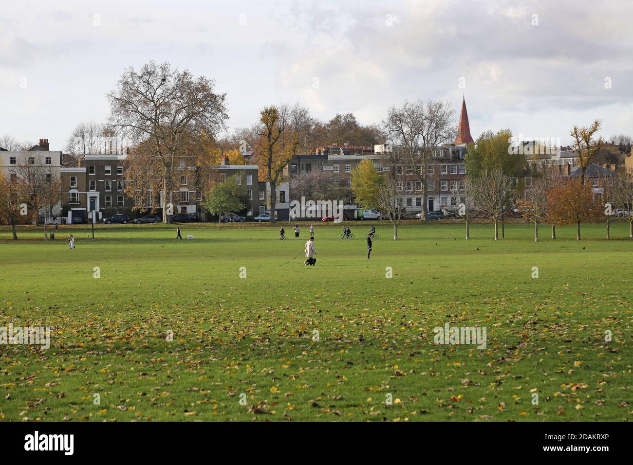 Rye common hi-res stock photography and images - Alamy