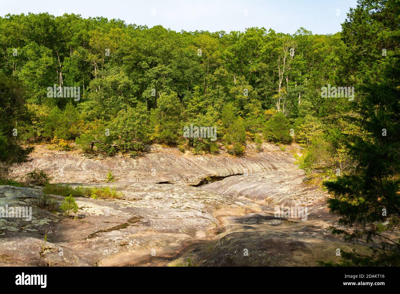 Landscape along the hiking trail at Bell Smith Springs in the Shawnee ...